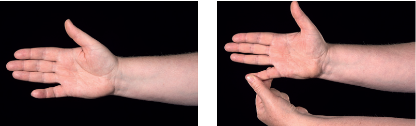 Kuskefingre - Træningsprogram