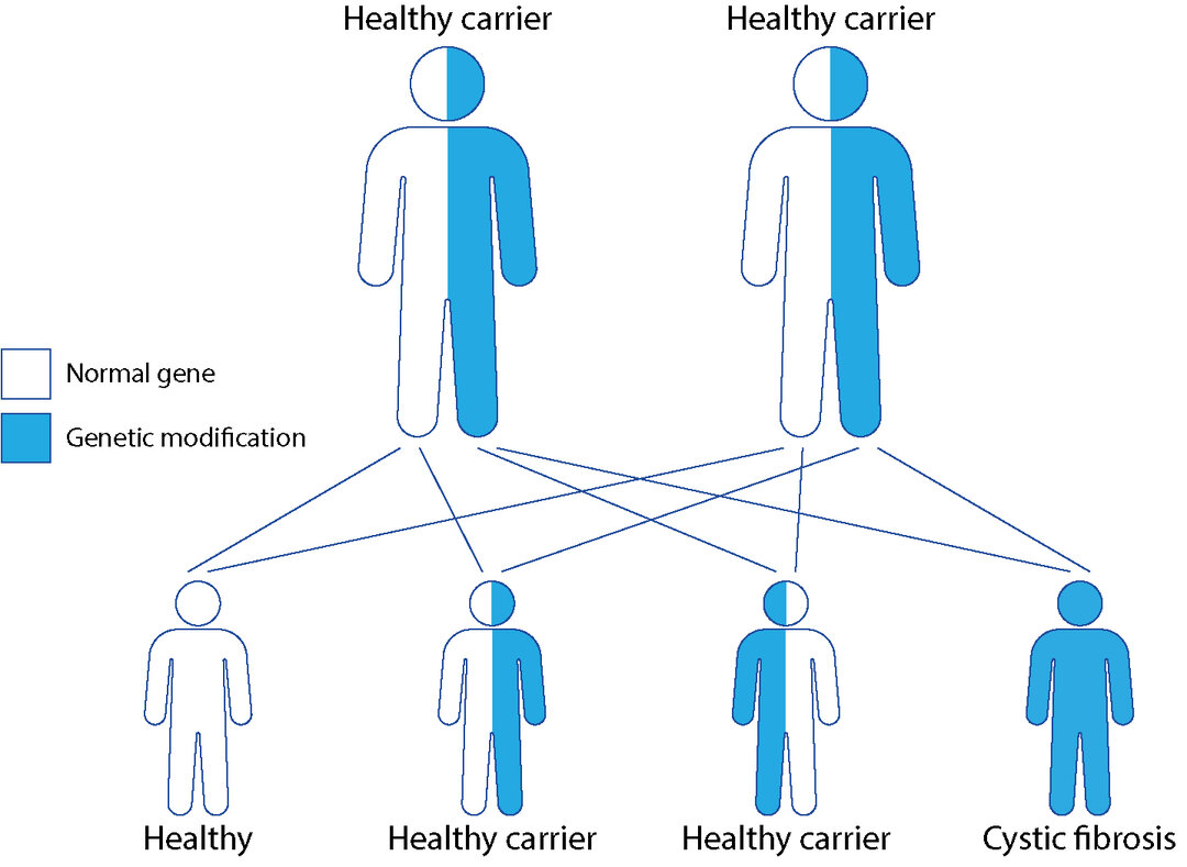 Cystic Fibrosis carrier - English