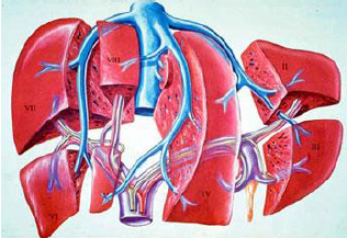 Leveren - information inden kikkertoperation