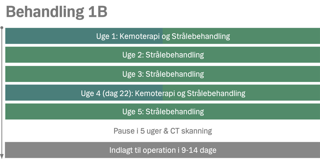 Spiserørskræft - behandlingsforløb